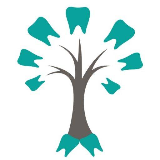 About the Dental Tree & Facial Cosmetic Centre Best Dental Clinic in ...